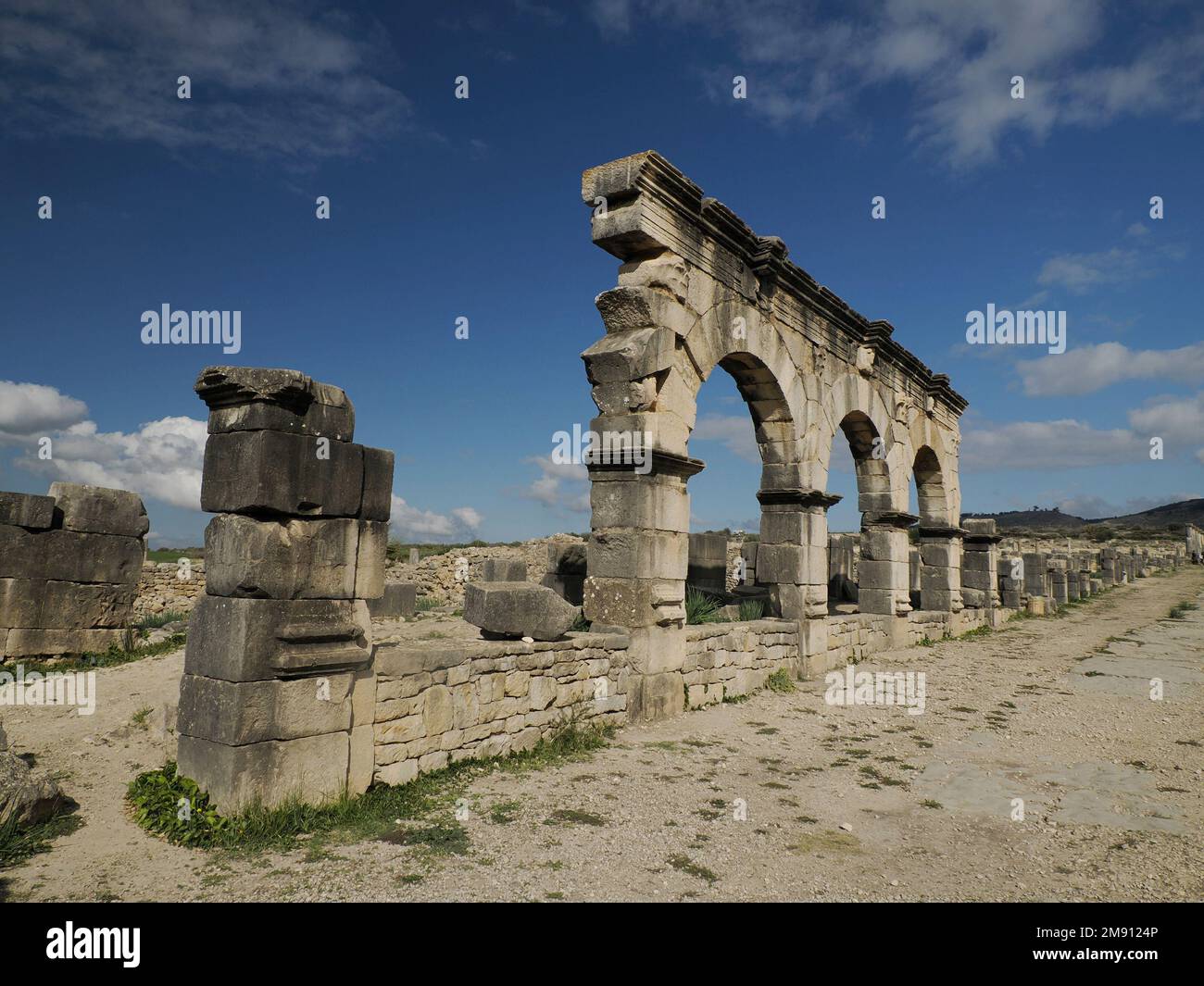 Volubilis Roman ruins in Morocco- Best-preserved Roman ruins located ...