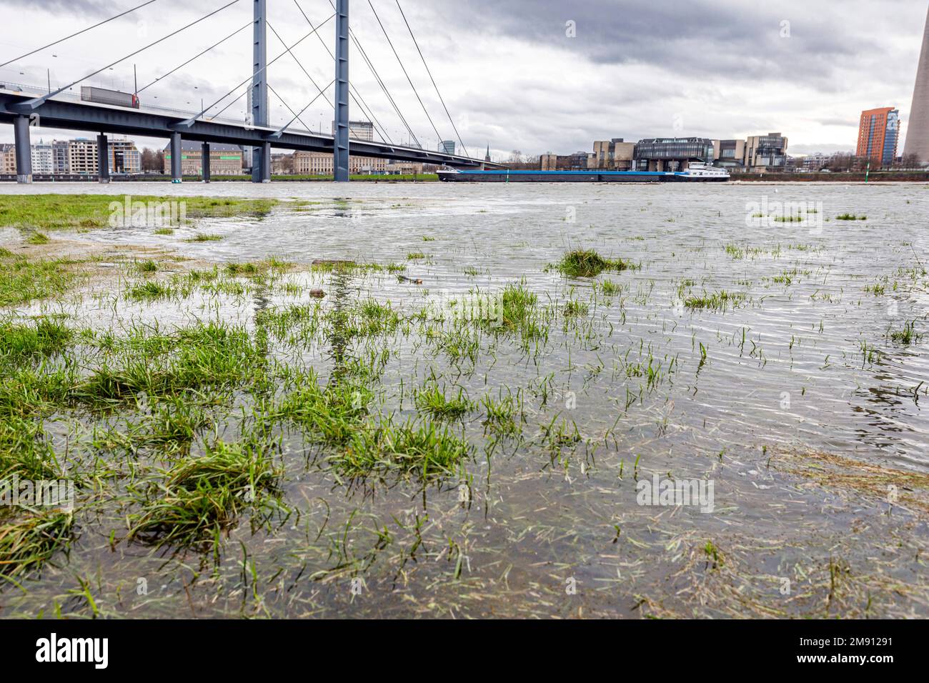Rising water level on the Rhine in Düsseldorf, plus rain and stormy ...