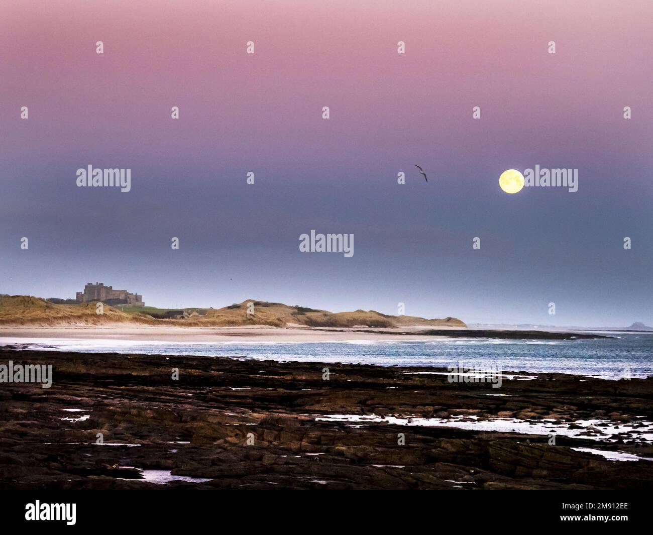 Full moon over sand dunes hi-res stock photography and images - Alamy