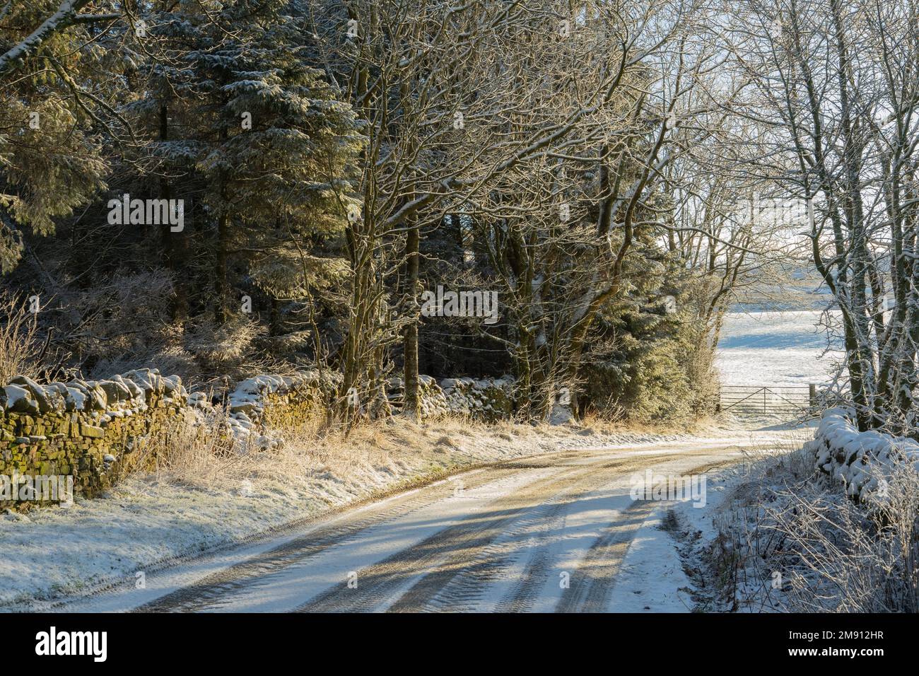 Snow covered rural road in Northumberland, UK Stock Photo - Alamy