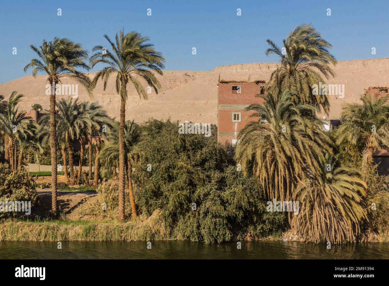 Channel palms palm tree hi-res stock photography and images - Alamy