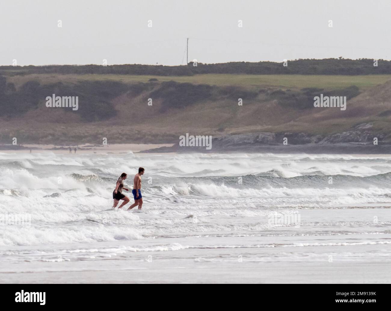 A group of cold water swimmers taking a dip in January at Ross Back ...