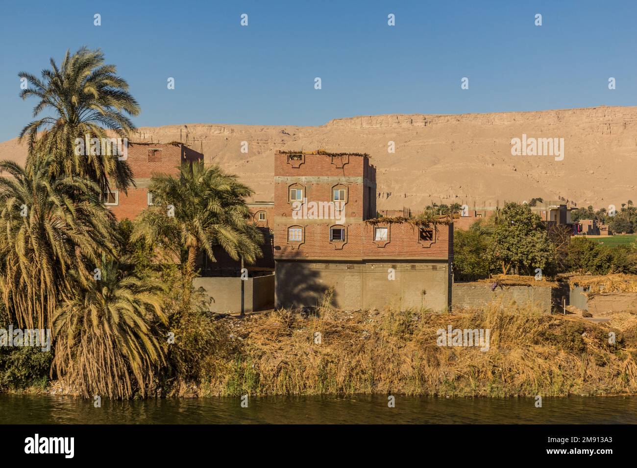 Palms and houses near Sohag, Egypt Stock Photo - Alamy
