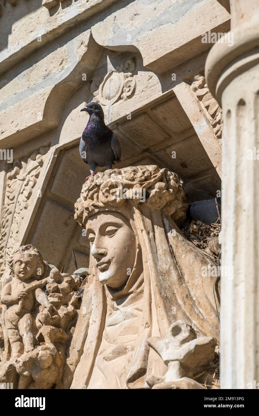 A pigeon on the head of a statue on the Basilica of Our Lady of ...