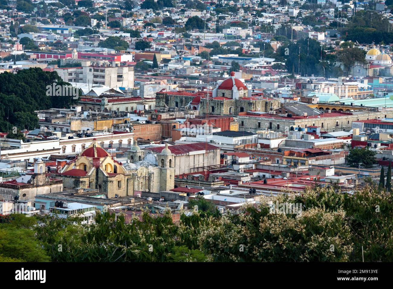 View of the Churches of San felipe Neri & Compania de Jesus in the ...