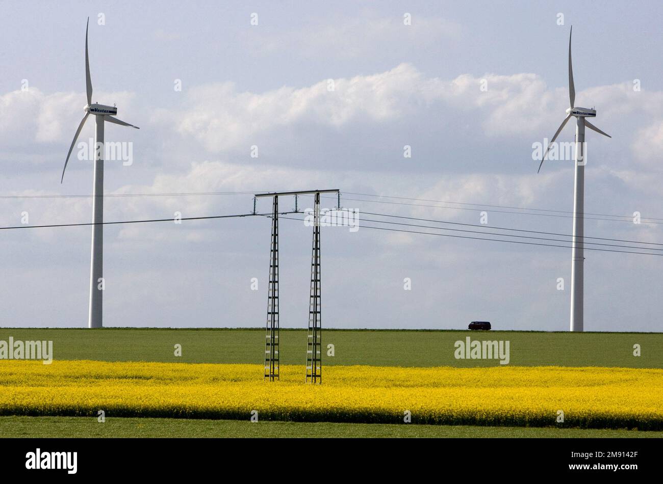 Power lines on power line poles and wind turbines at a yellow blooming ...