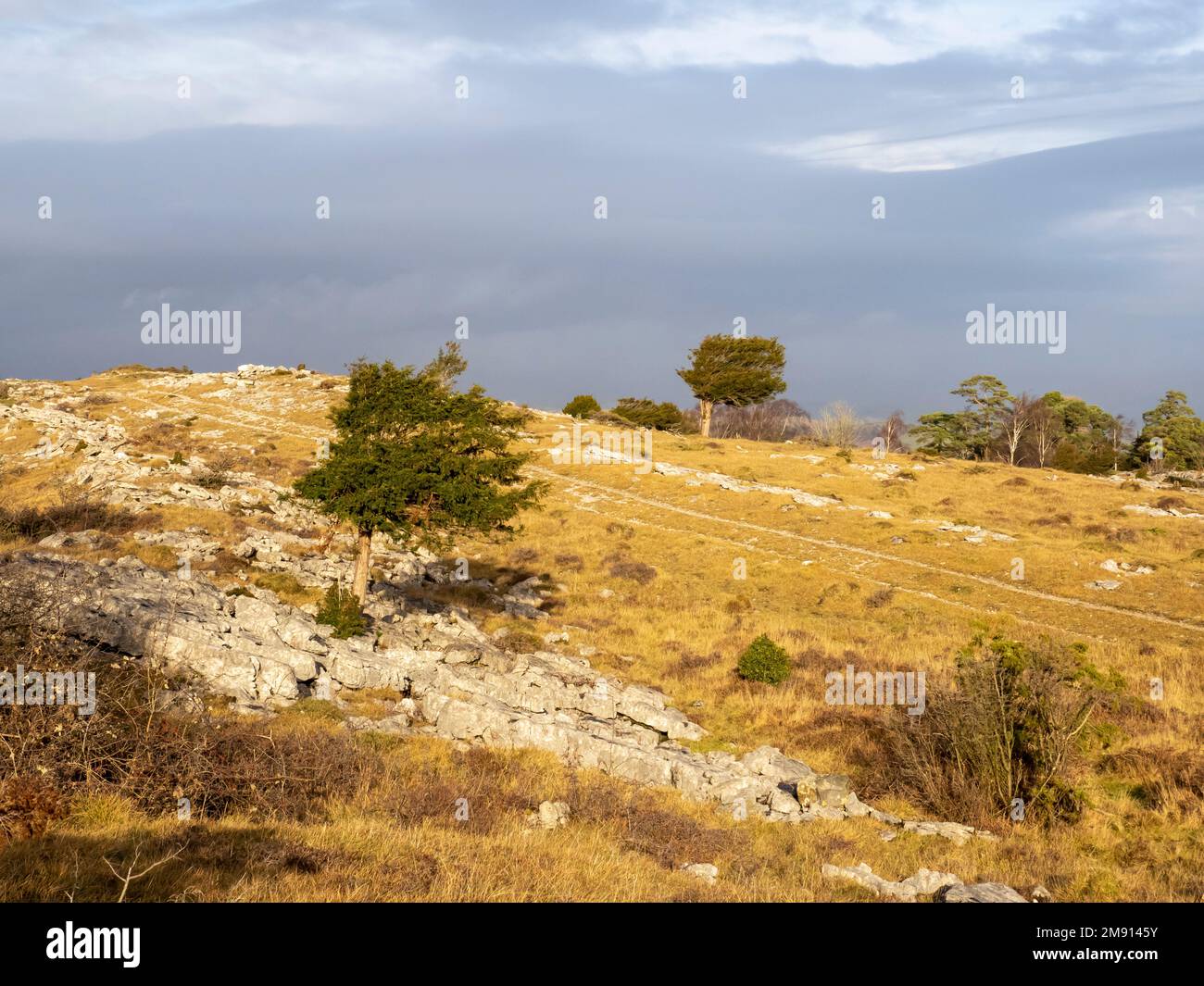 Whitbarrow scar hi-res stock photography and images - Alamy