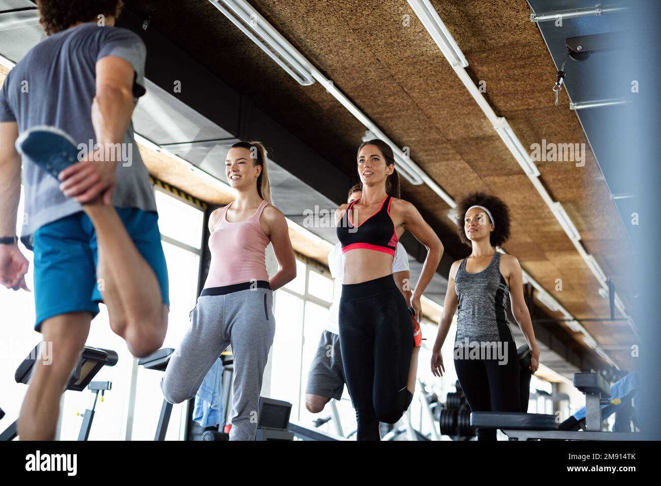 Group of young fit people, friends doing exercises in gym to stay ...