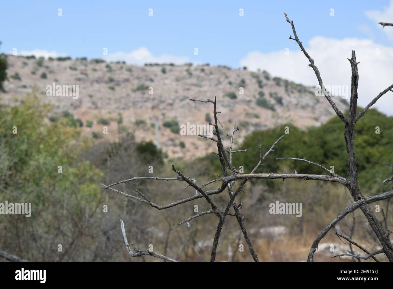 Yiftah Fissures Nature Reserve in Israel Stock Photo - Alamy