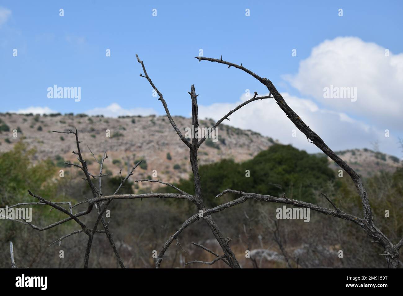 Yiftah Fissures Nature Reserve in Israel Stock Photo - Alamy