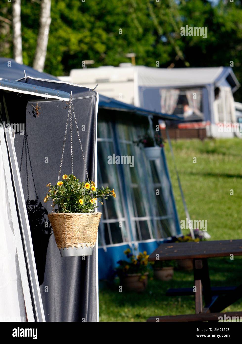 Flower hanging from a tent to a caravan at a campsite Stock Photo - Alamy