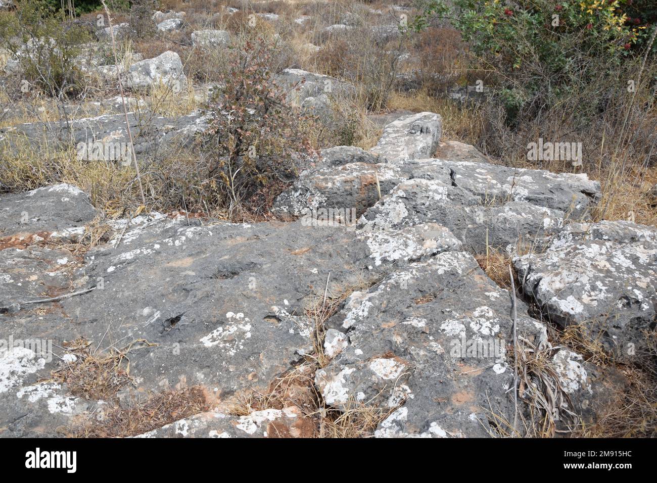 Yiftah Fissures Nature Reserve in Israel Stock Photo - Alamy