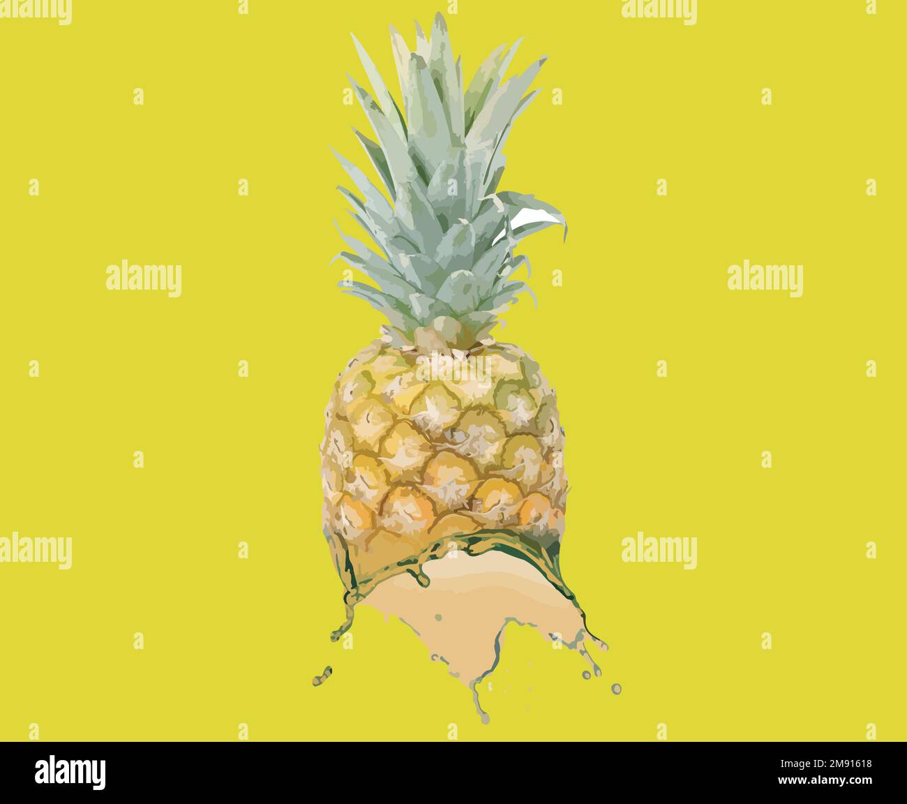 Pineapple fresh ananas sliced Stock Vector Images - Alamy