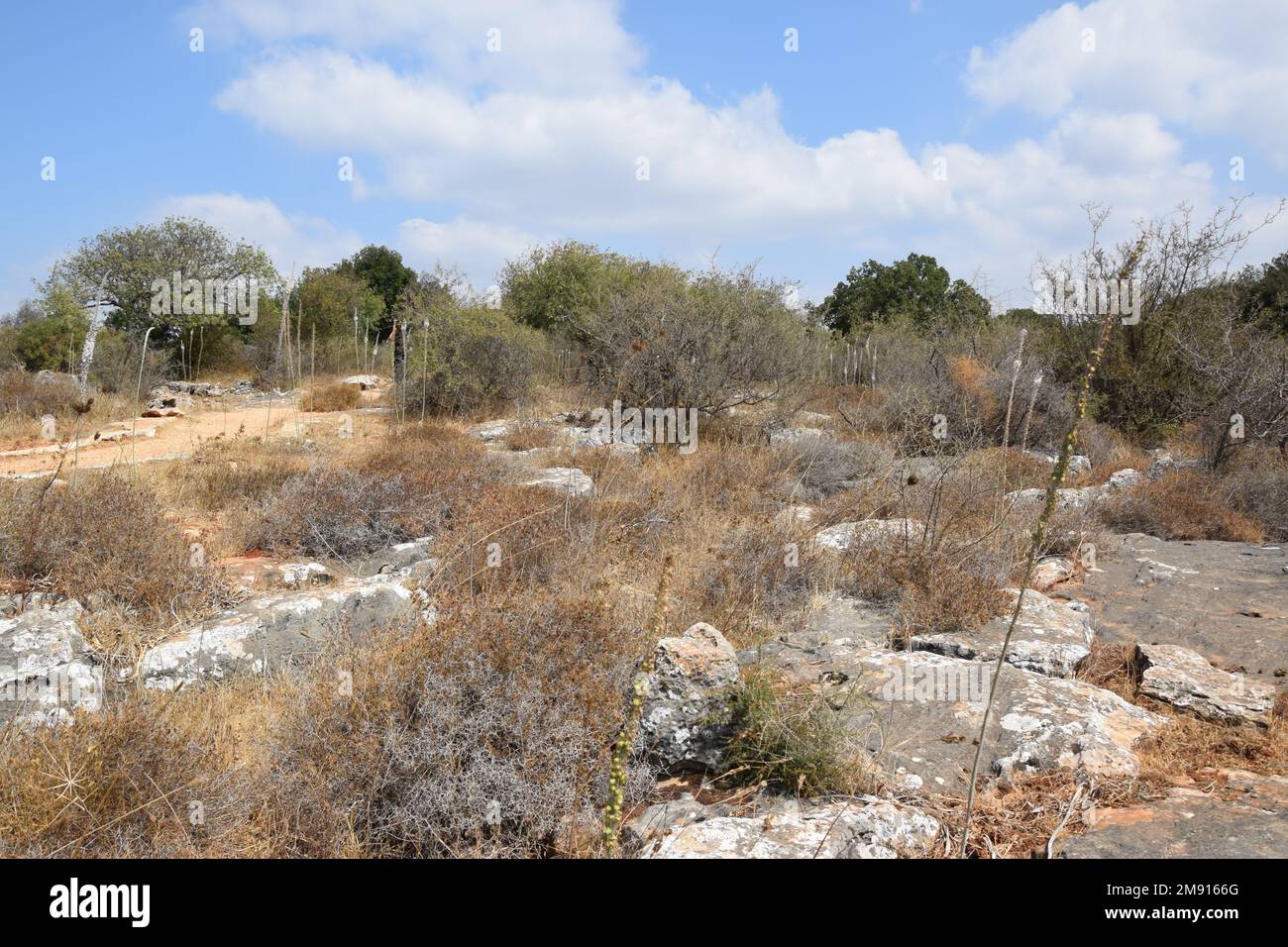 Yiftah Fissures Nature Reserve in Israel Stock Photo - Alamy