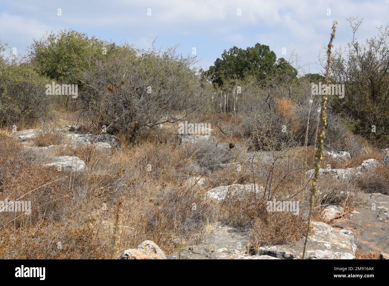 Yiftah Fissures Nature Reserve in Israel Stock Photo - Alamy