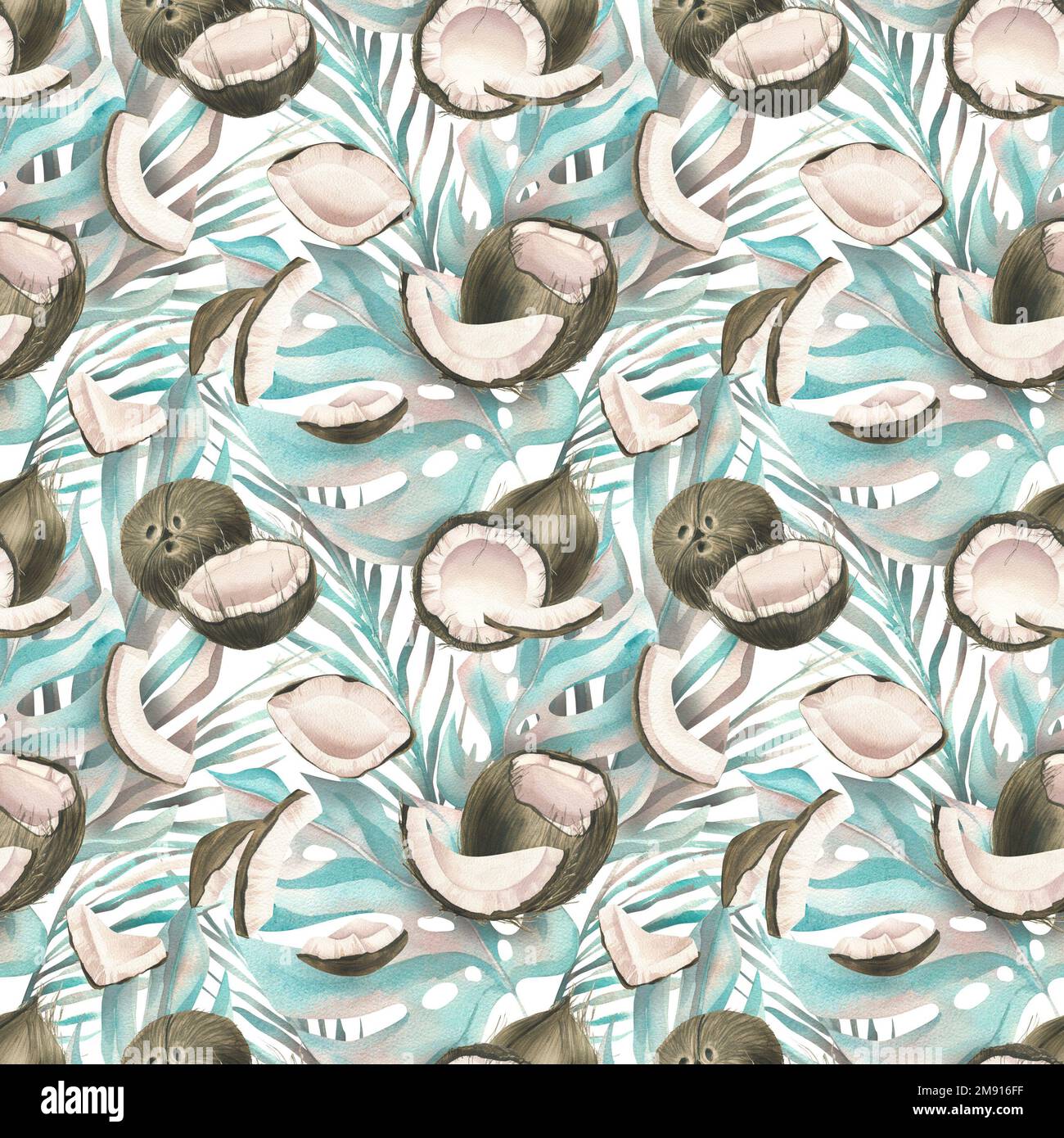 Coconuts of different shapes, whole and broken against the background ...