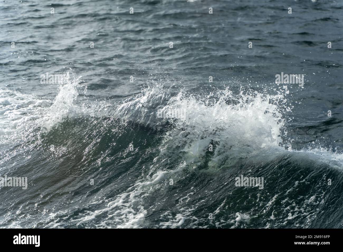 A closeup of a small wave at the Baltic Sea Stock Photo - Alamy