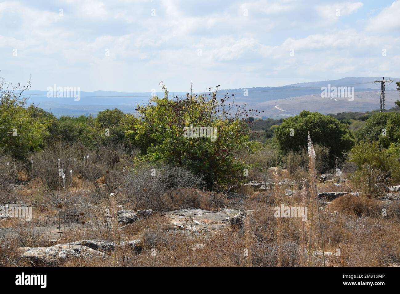 Yiftah Fissures Nature Reserve in Israel Stock Photo - Alamy