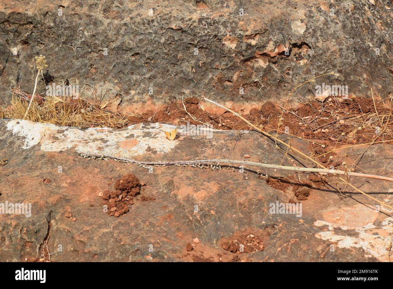 Yiftah Fissures Nature Reserve in Israel Stock Photo - Alamy
