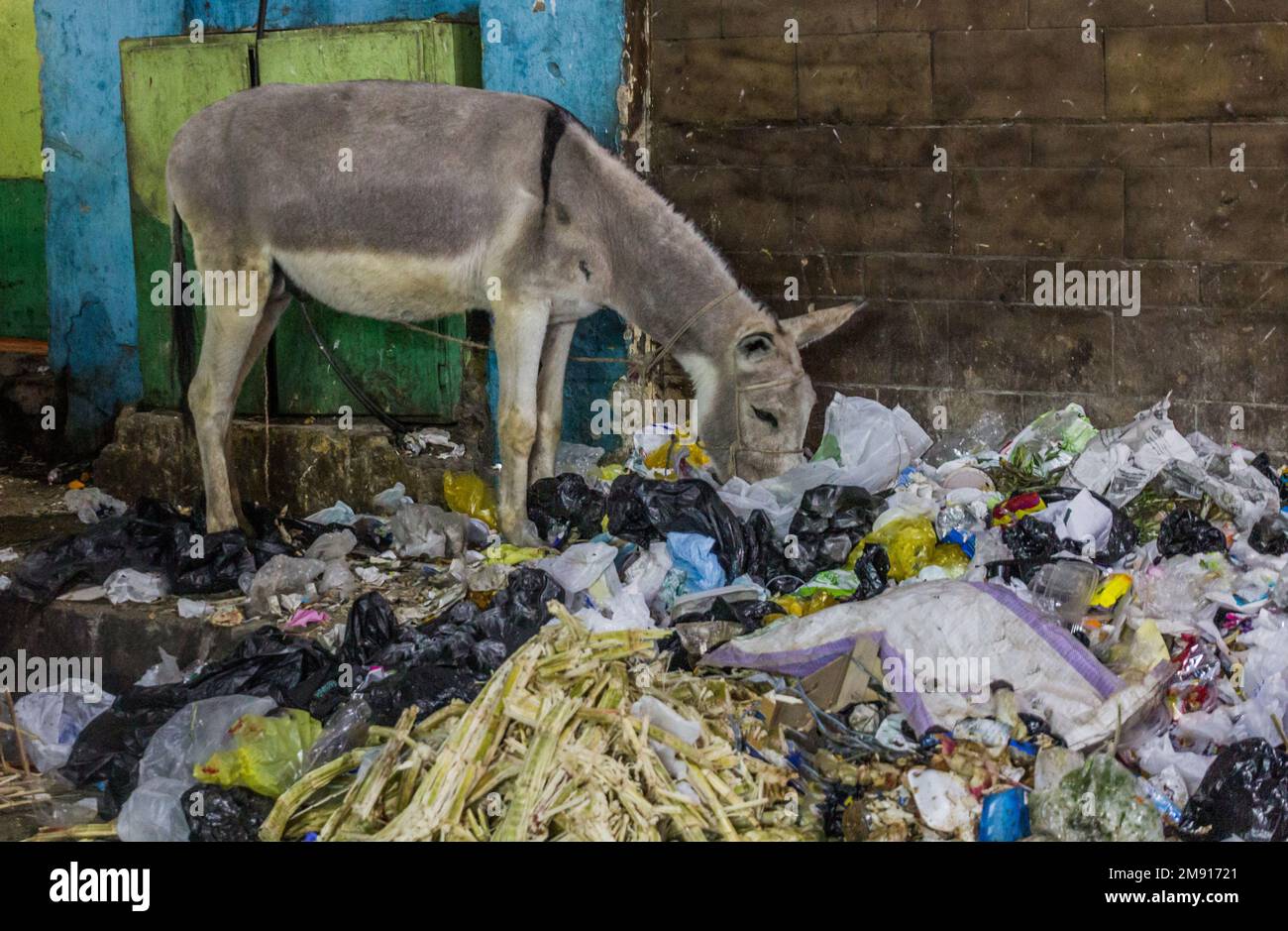 Rubbish in egypt hi-res stock photography and images - Alamy