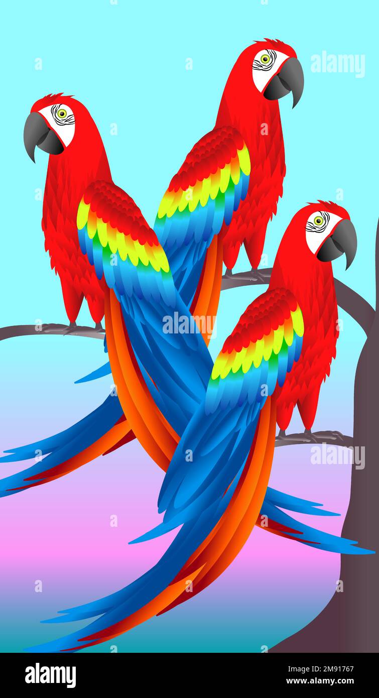 Set of different parrots. Vector illustration set of colorful exotic ...