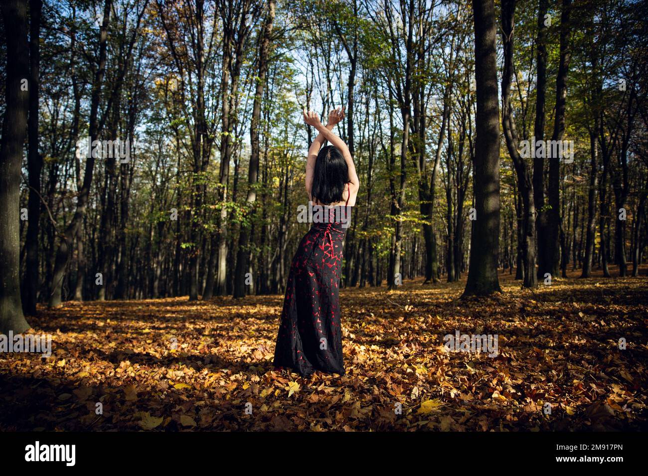 A back view of a beautiful gothic girl standing in autumn forest in a ...