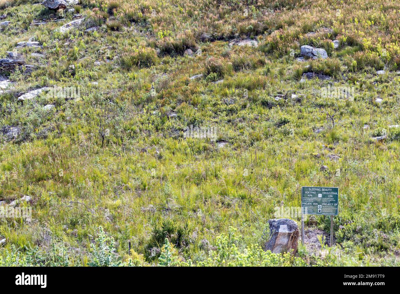 Riversdale, South Africa - Sep 24, 2022: Start of the Sleeping Beauty ...