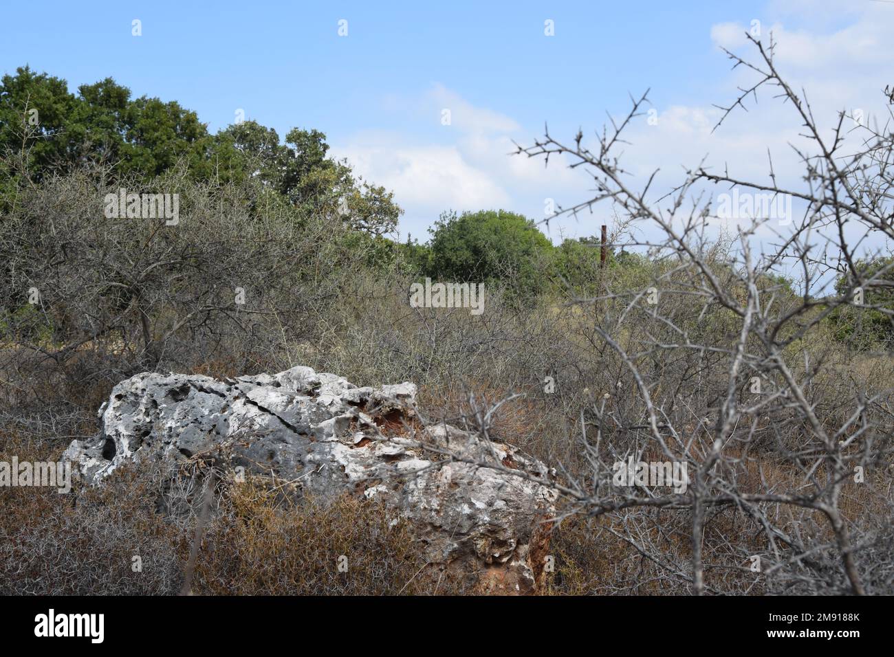 Yiftah Fissures Nature Reserve in Israel Stock Photo - Alamy
