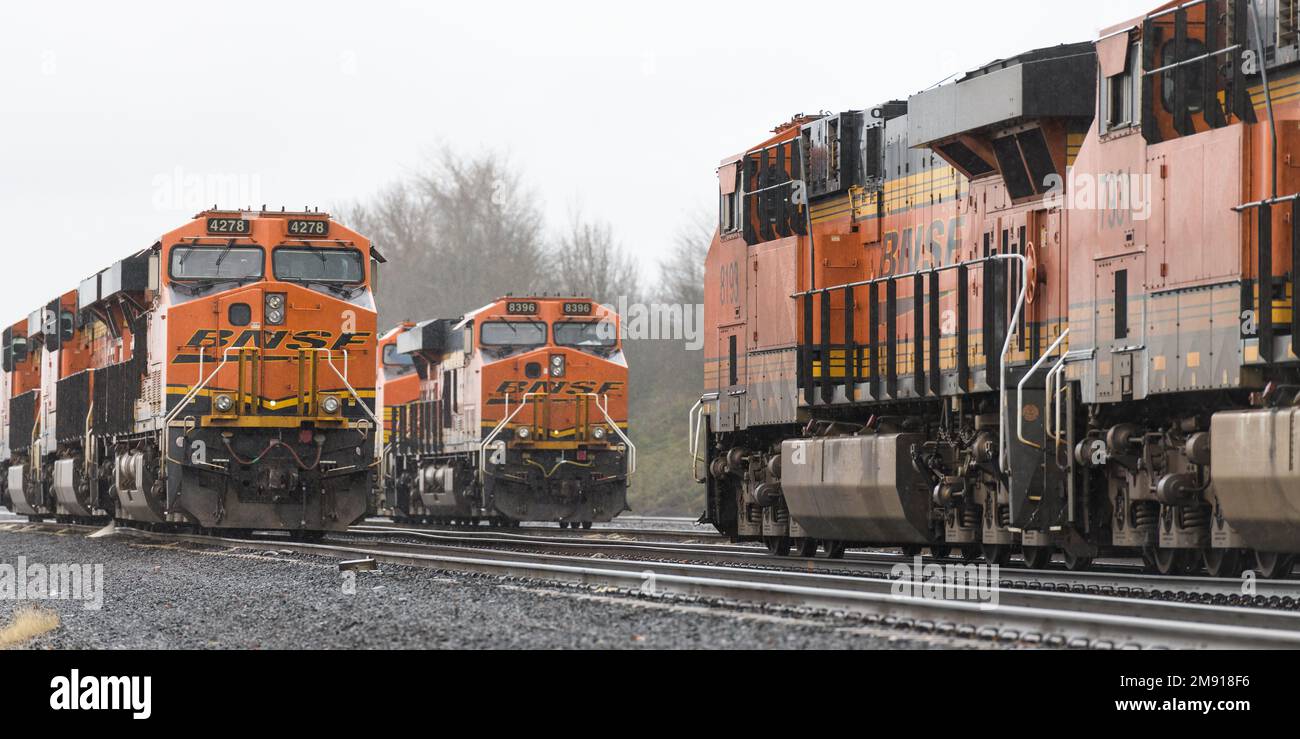 Seattle, WA, USA - January 15, 2023; Group of wet BNSF locomotives in ...