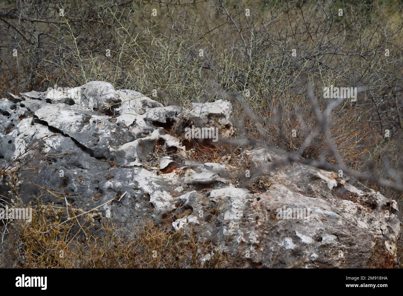 Yiftah Fissures Nature Reserve in Israel Stock Photo - Alamy