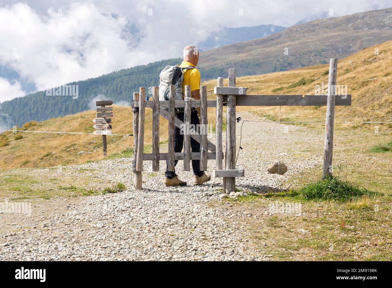 A man with a backpack is walking on a hiking trail on an alpine pasture ...