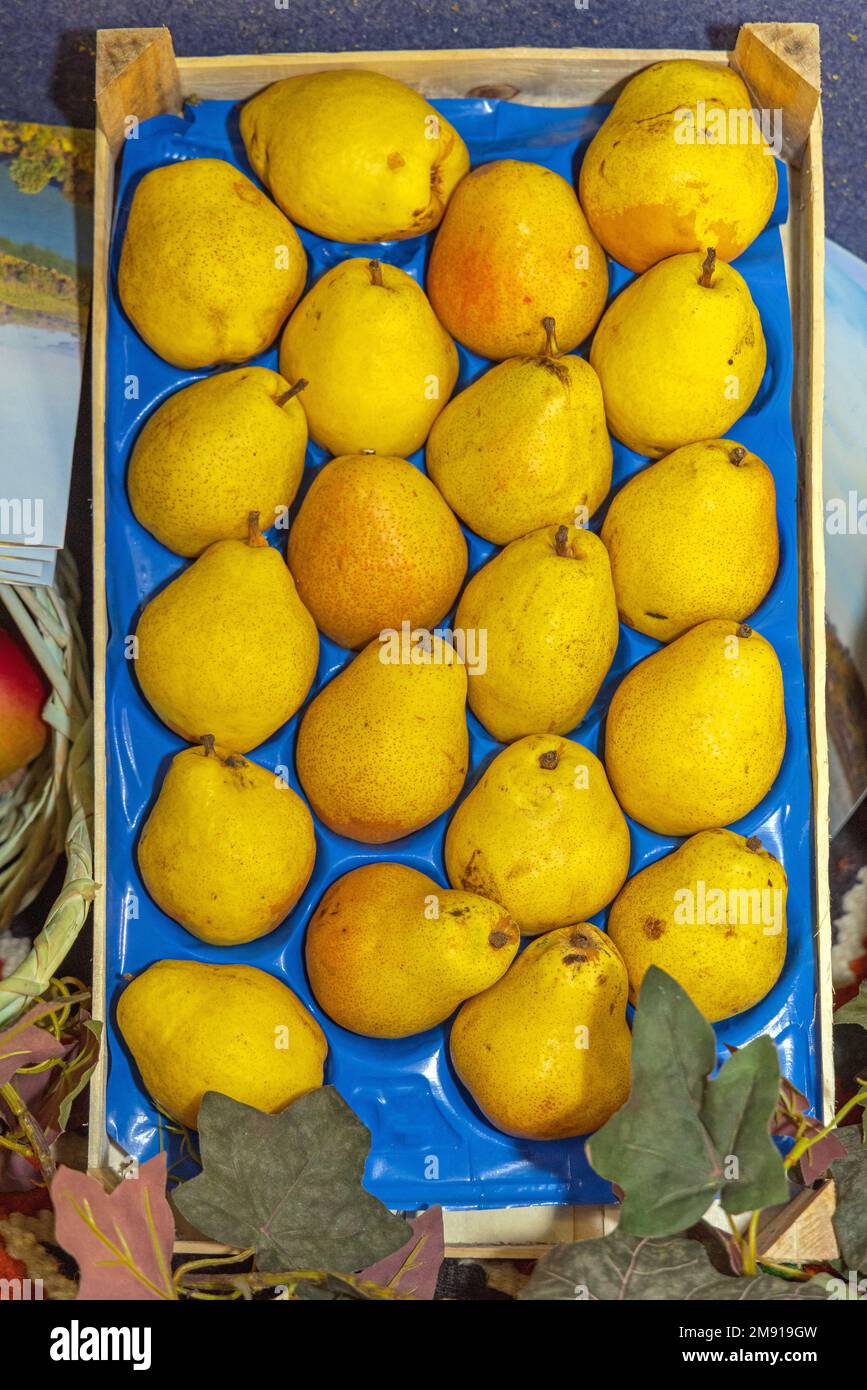 Yellow Williams Pears Fruits in Crate at Indoor Farmers Market Stock ...