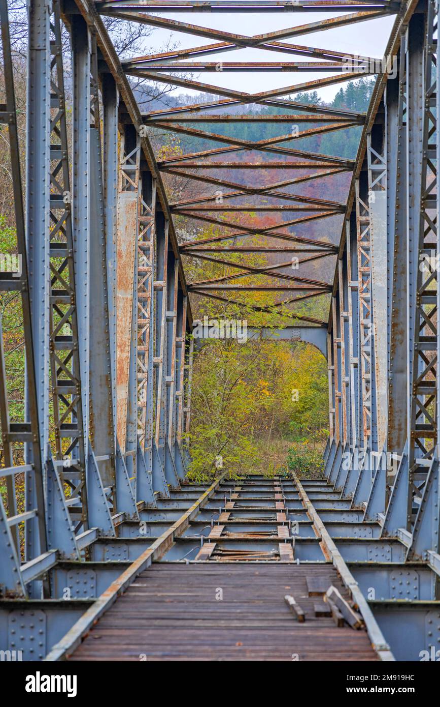 Old Blue Steel Beams Bridge Abandon Railroad in Serbia Stock Photo - Alamy