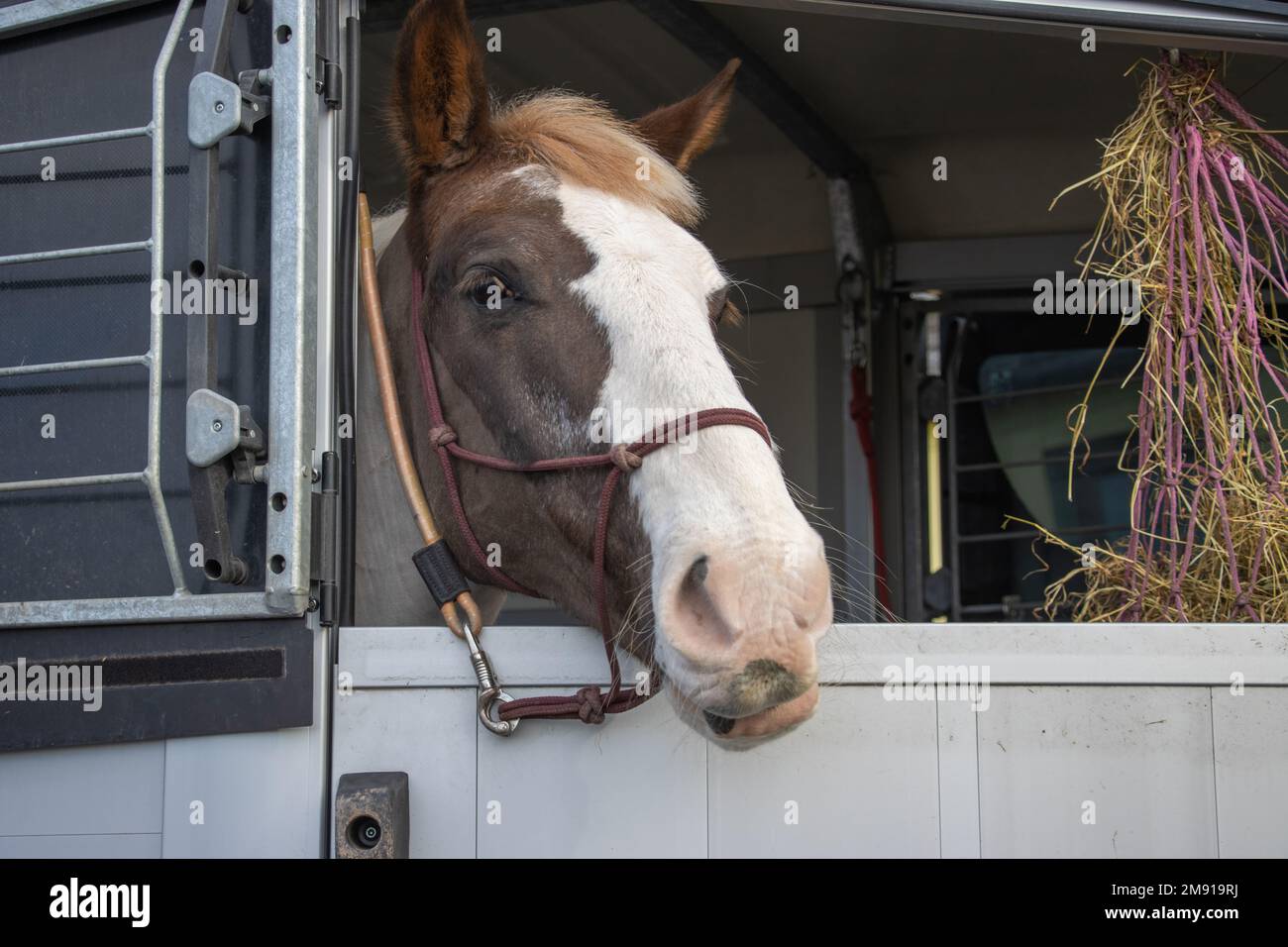 Butlerstown hi-res stock photography and images - Alamy