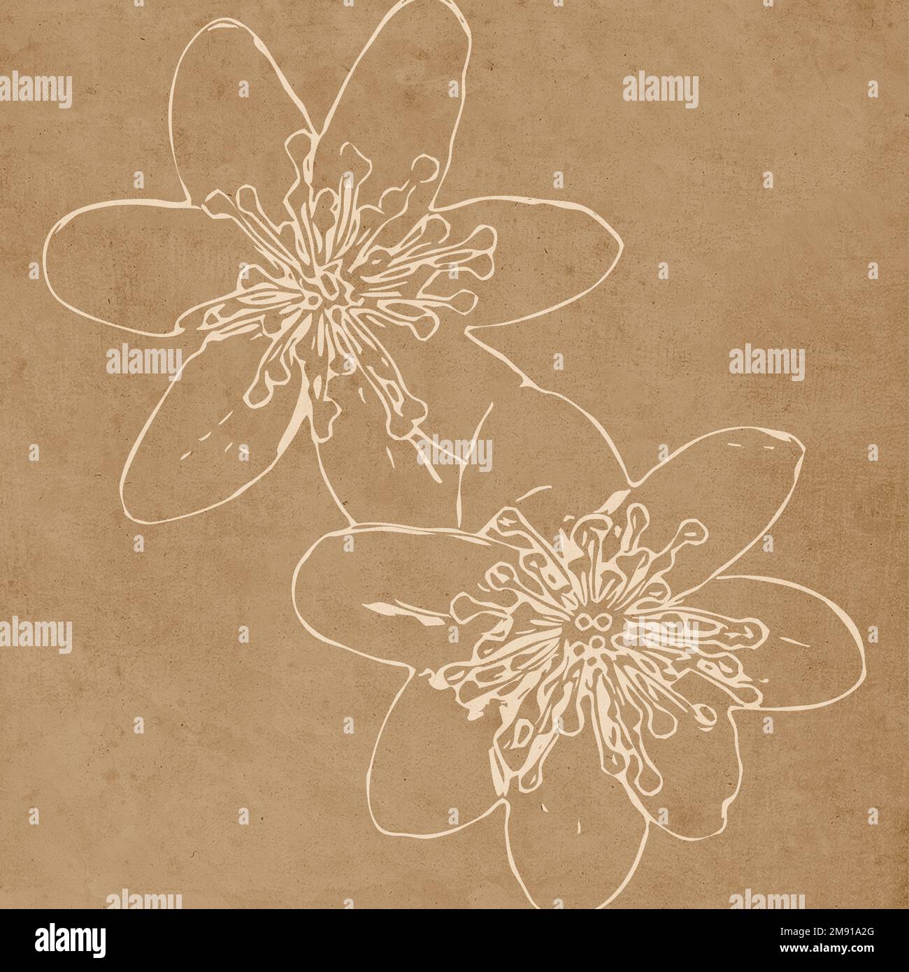 Printable trendy botanical card. Use for cover, wallpaper, wall art ...