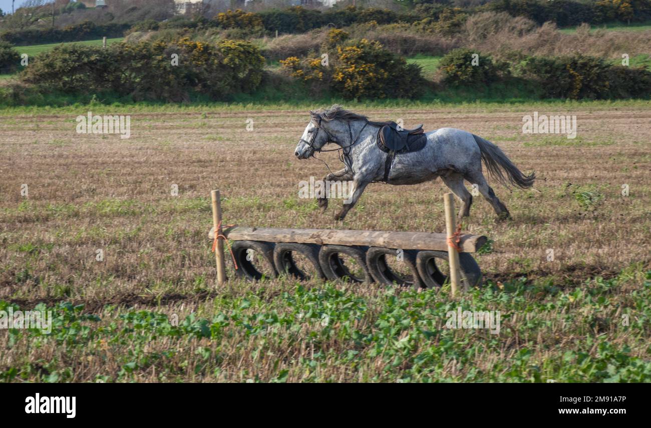 Butlerstown Fun Ride Jan 23 Stock Photo - Alamy
