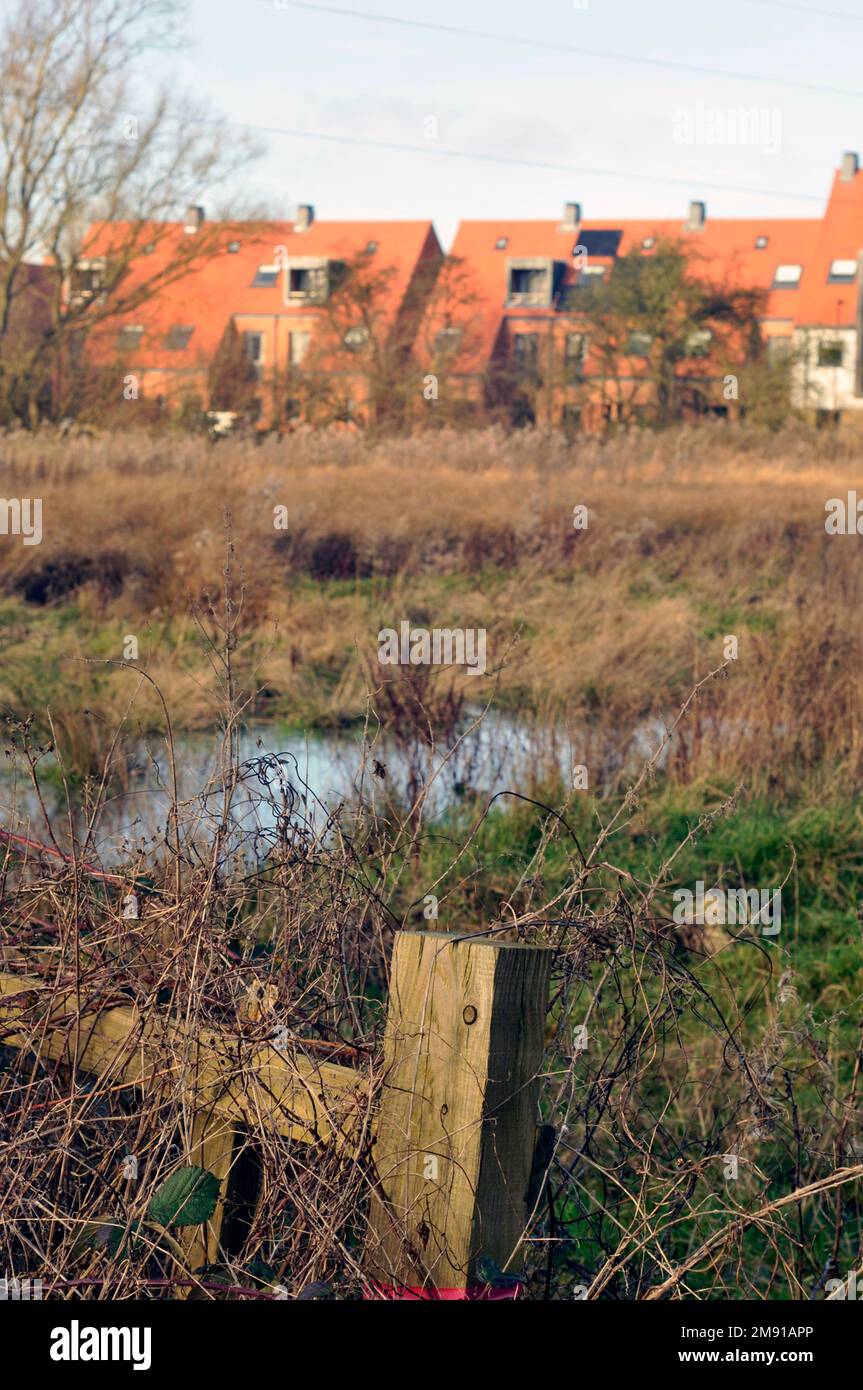 Derwenthorpe york hi-res stock photography and images - Alamy