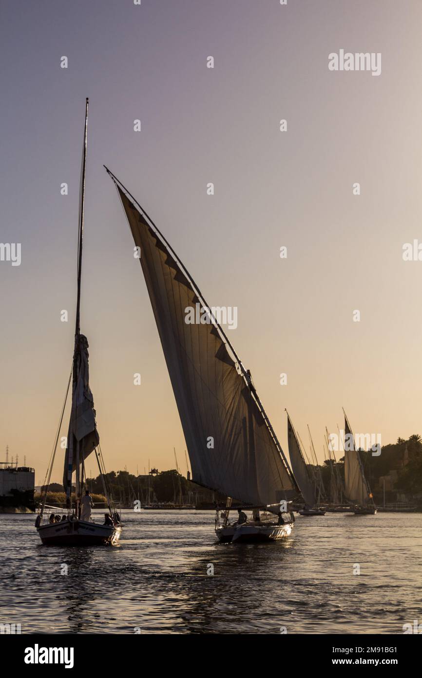 Felucca sail boats at the river Nile in Aswan, Egypt Stock Photo - Alamy