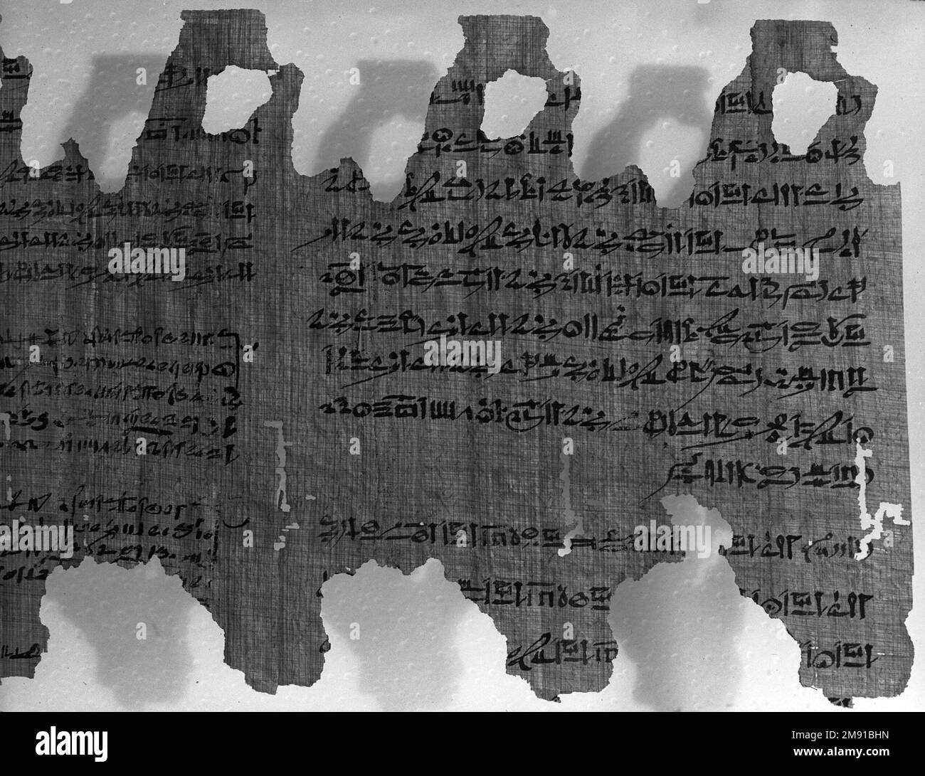 The Brooklyn Oracle Papyrus The Brooklyn Oracle Papyrus, October 4, 651 ...