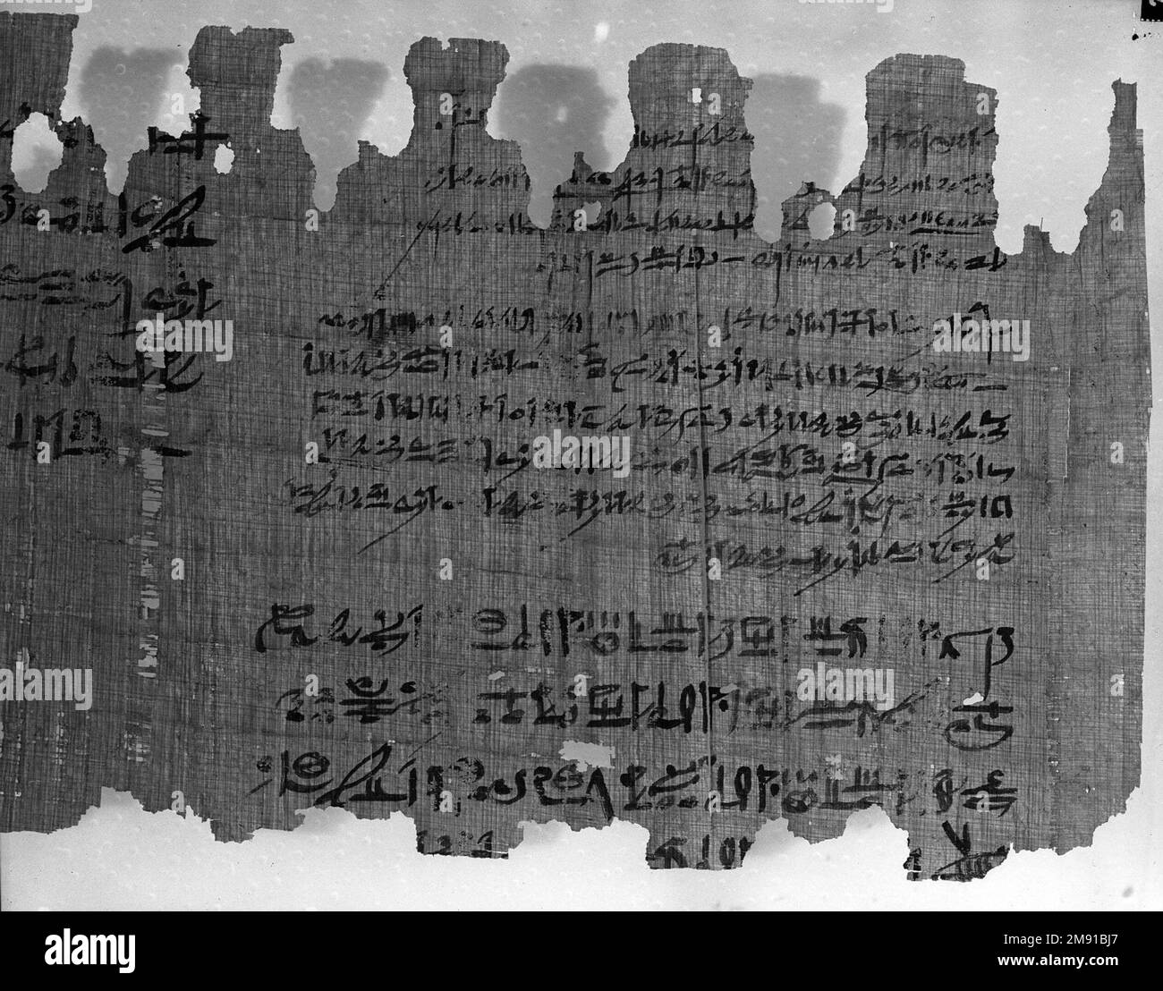 Brooklyn oracle papyrus hi-res stock photography and images - Alamy