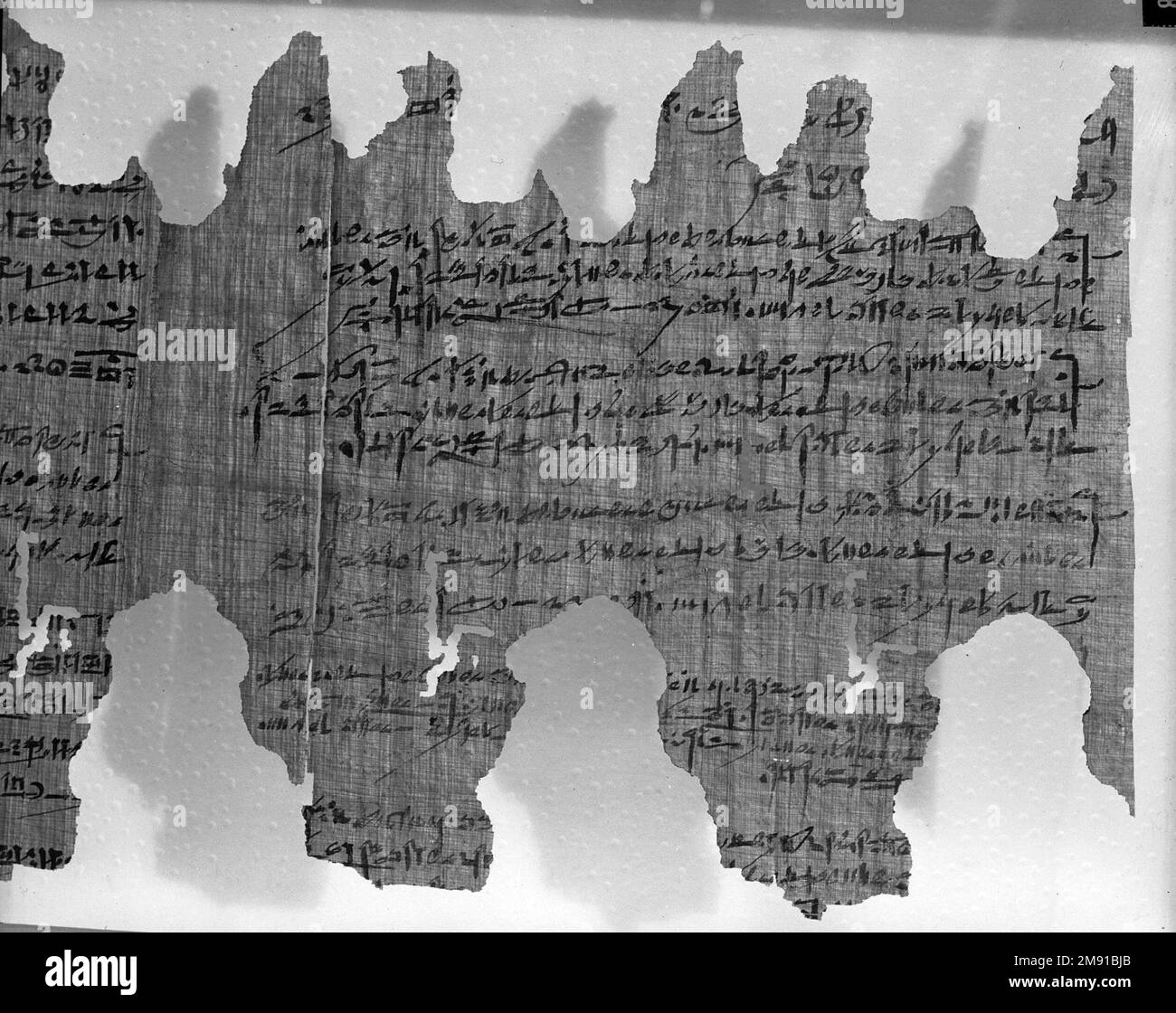 The Brooklyn Oracle Papyrus The Brooklyn Oracle Papyrus, October 4, 651 ...