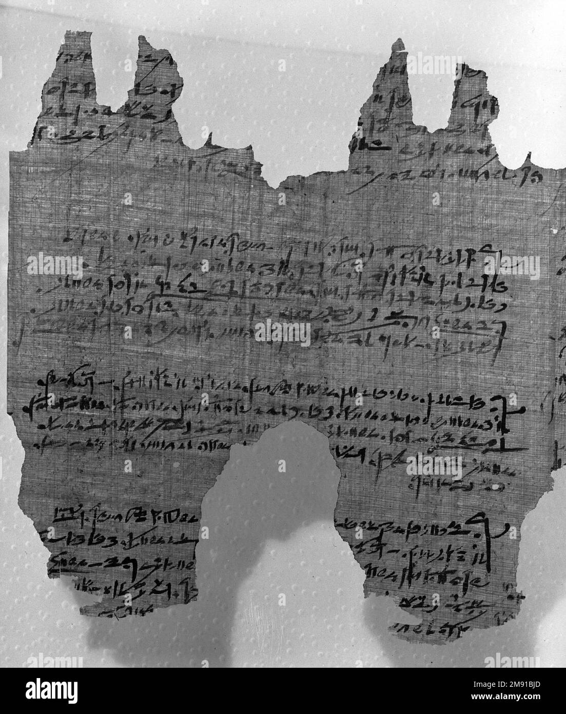 Brooklyn oracle papyrus hi-res stock photography and images - Alamy