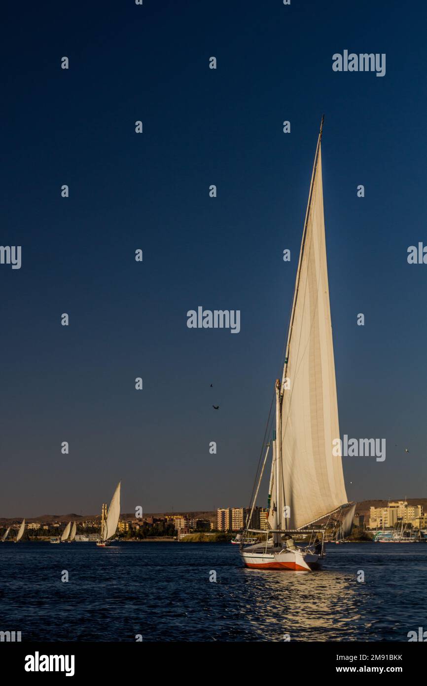 Felucca sail boats at the river Nile in Aswan, Egypt Stock Photo - Alamy