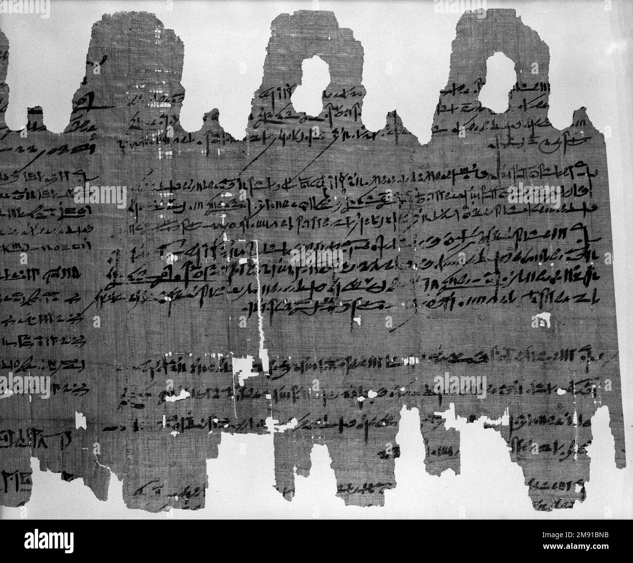The Brooklyn Oracle Papyrus The Brooklyn Oracle Papyrus, October 4, 651 ...