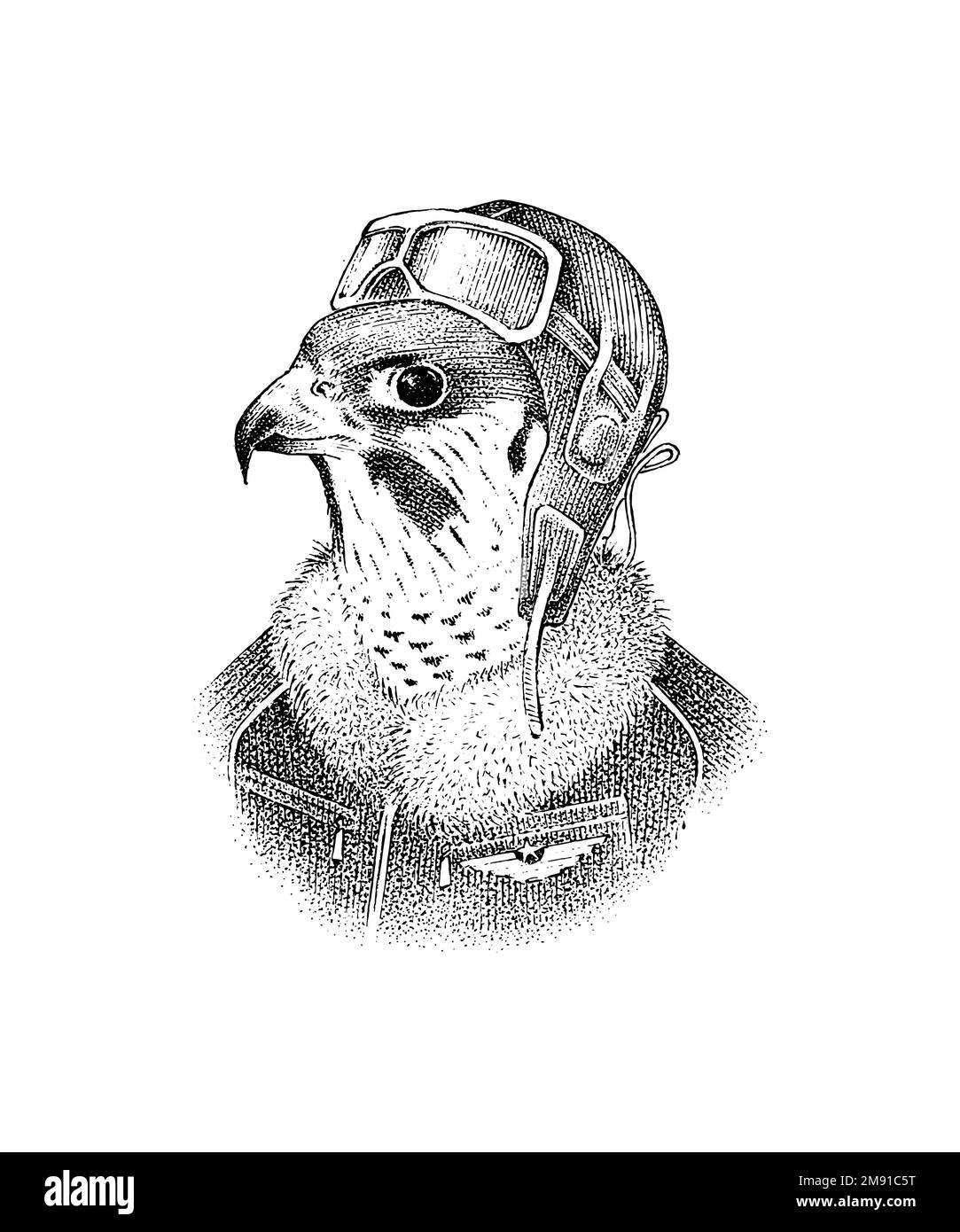 Peregrine falcon pilot character with glasses in a hat. Hand drawn ...