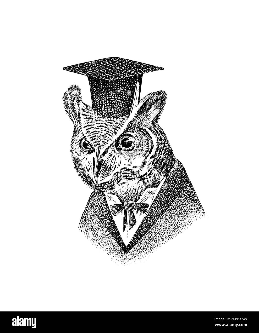 Scientist owl character in a hat. Hand drawn fashionable bird. Engraved ...