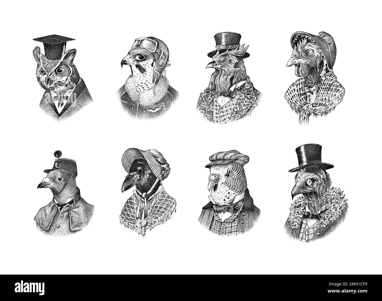 Bird character in a hat and suit. Crow Dove Parrot Owl Rooster Chicken ...