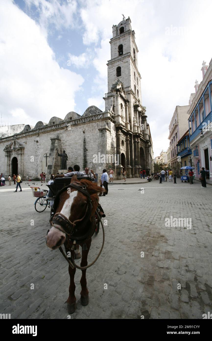 Donkey in downtown Havana, Cuba Stock Photo - Alamy