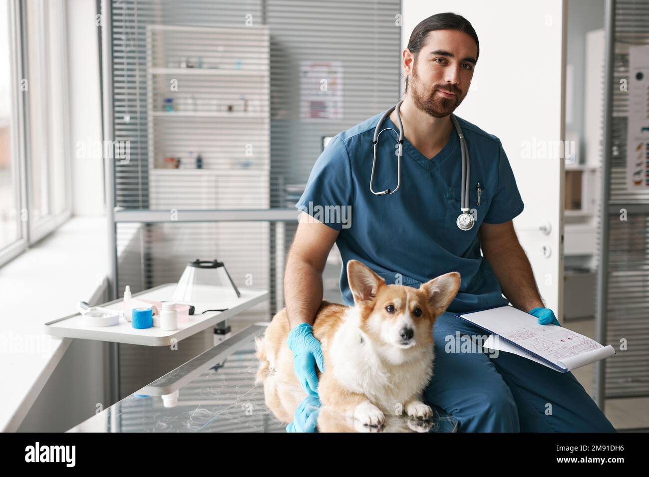 Young confident male veterinary doctor in uniform and sick corgi dog ...