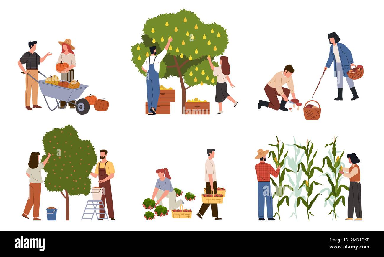 Crop pickers Stock Vector Images - Alamy